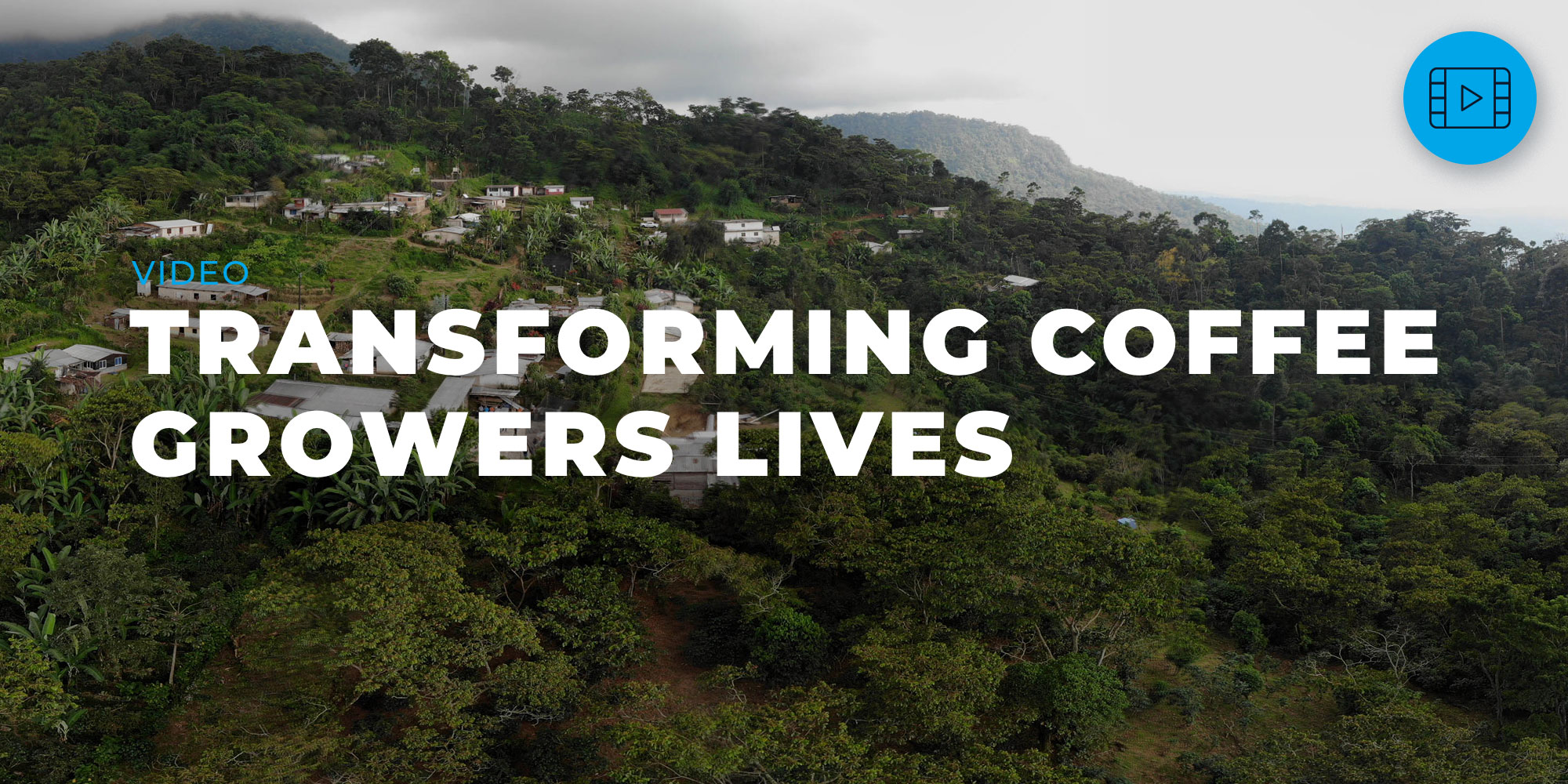 Transforming Coffee Growers Lives | SIMBA Chain